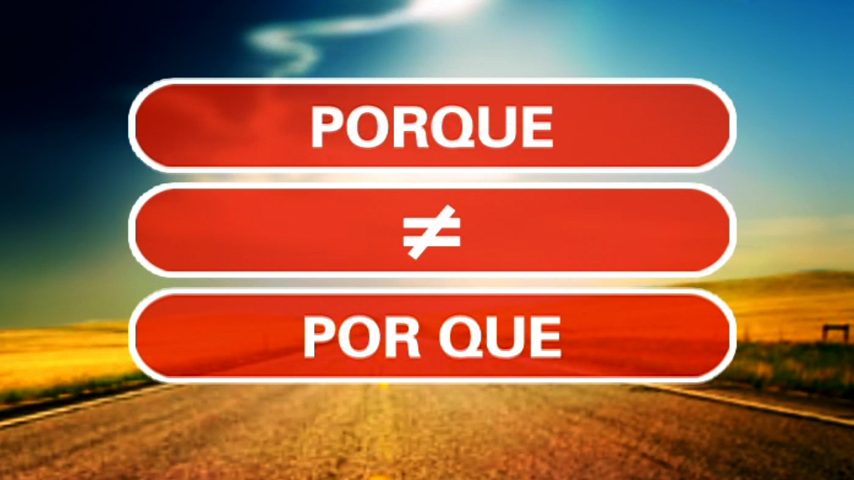 Frases interrogativas: quando usar "porque" e "por que" - RTP Ensina