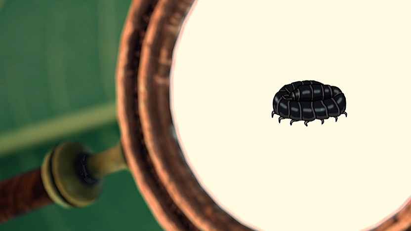 A maria café ajuda a recompor a terra - RTP Ensina