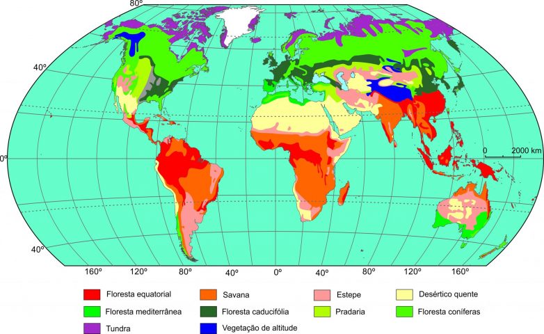 Ambiente Biogeográfio - Zona fria - RTP Ensina