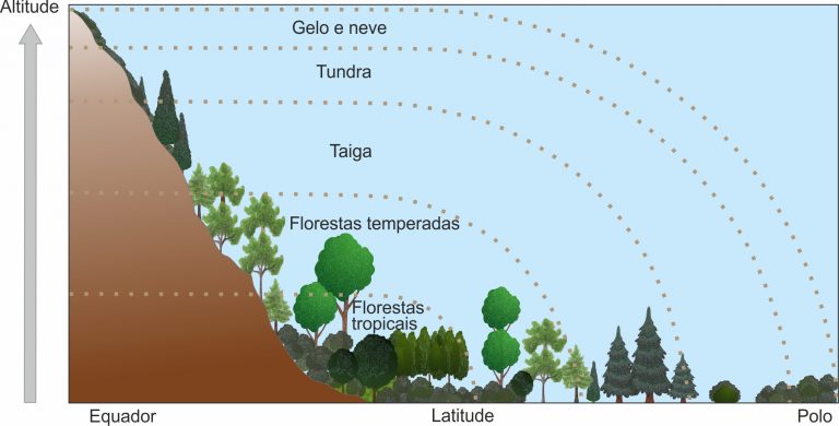 Ambiente Biogeográfio - Zona fria - RTP Ensina